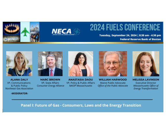 NGA's Alana Daly to Moderate NECA Fuels Conference Future of Gas Panel
